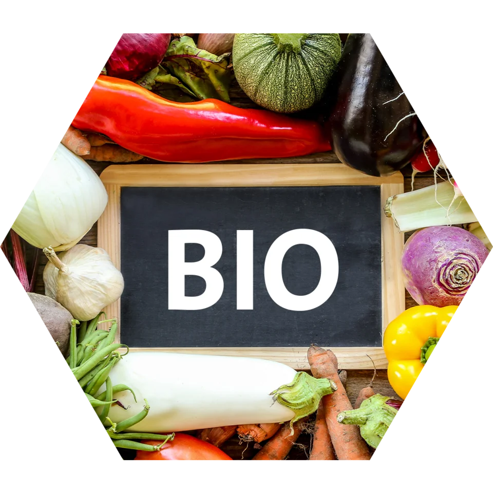 Nachhaltigkeitssiegel Info | apetito catering